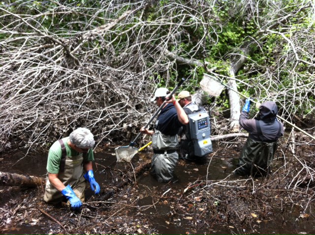 Fish Rescues | Monterey Peninsula Water Management District